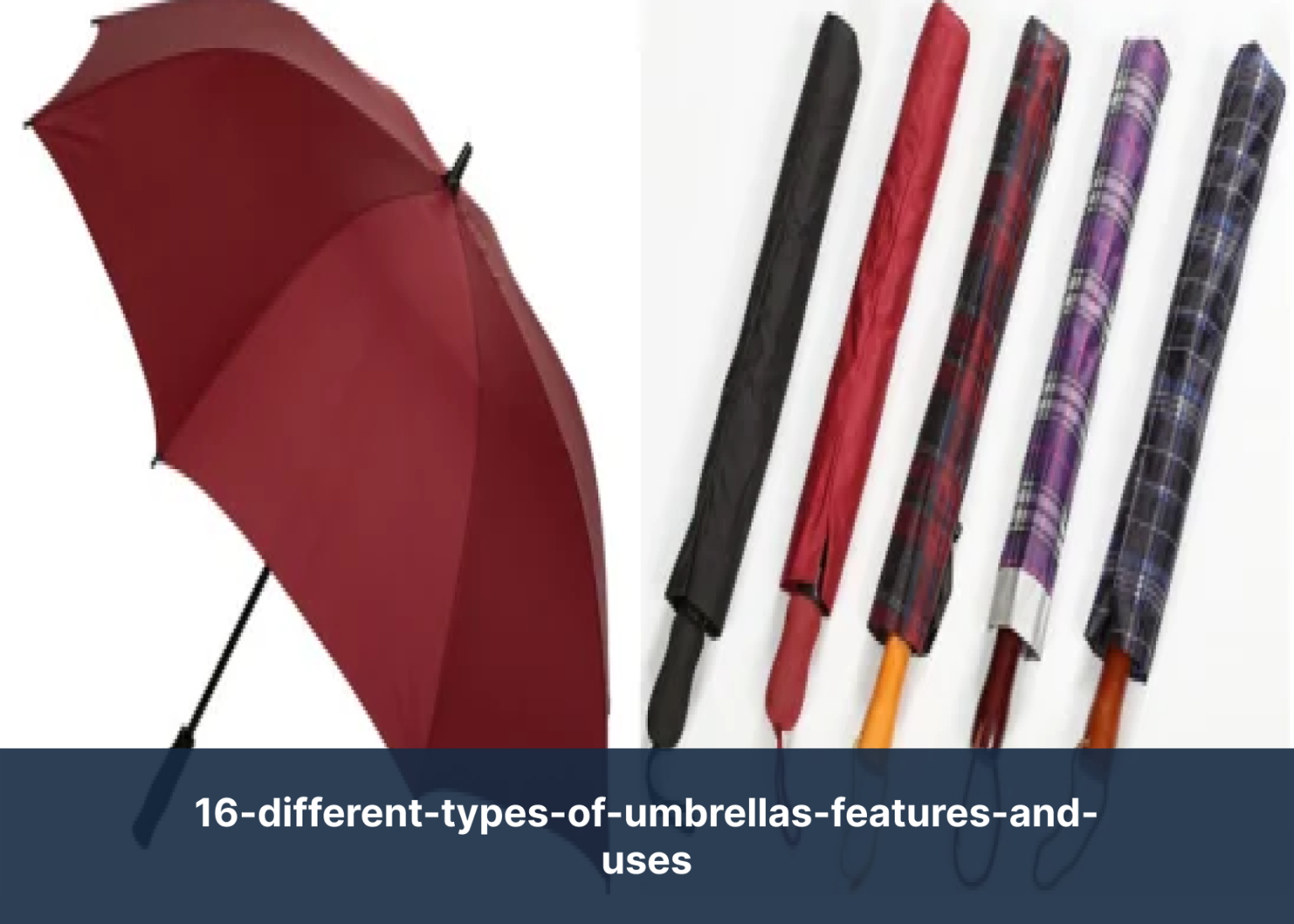 16 DIFFERENT TYPES OF UMBRELLAS: Features And Uses - Hfbrolly